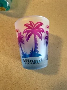 Dining | Miami Florida Colorful Palm Shot Glasses Set Of 3 | Poshmark